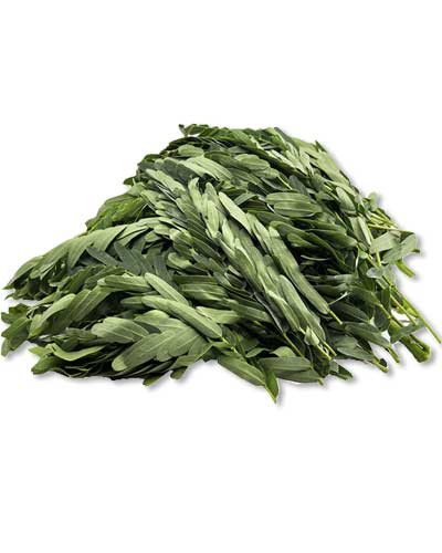 Organic Agase Leaves | ಸಾವಯವ ಅಗಸೆ ಸೊಪ್ಪು | Organic Agathi Keerai ...