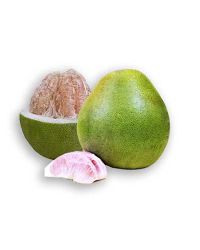 Organic Pomelo | Organic Chakota Fruit | ಸಾವಯವ ಚಕೋತ ಹಣ್ಣು | Akkadi Roots