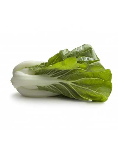 Pak Choy | Bak Choy 1 Pc | Akkadi Roots