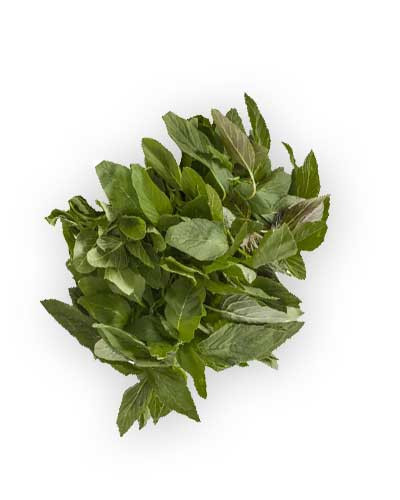 Harive Soppu | ಹರಿವೆ ಸೊಪ್ಪು 1 bunch | Akkadi Roots