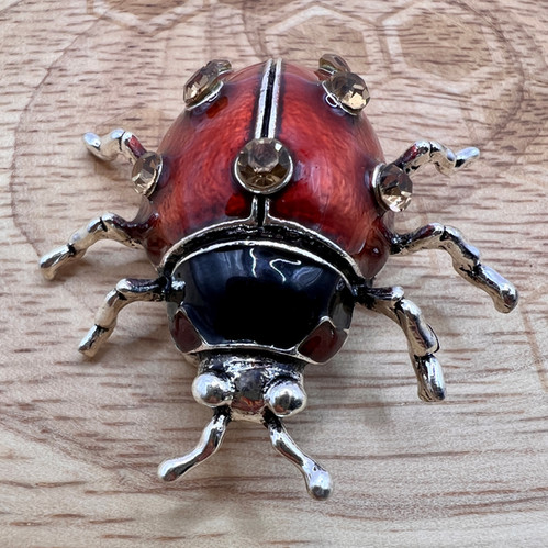 Ladybird Beetle Bug brooch in vintage Victorian style | Paisley Honey