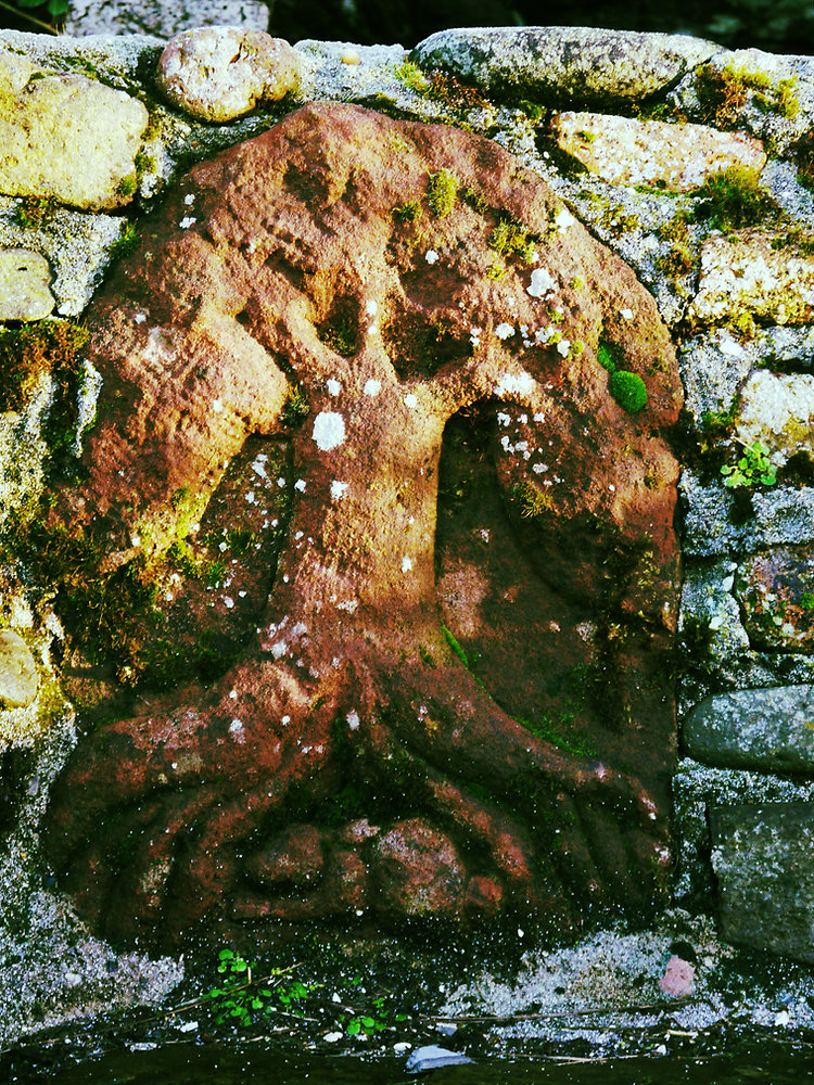 celtic world tree name