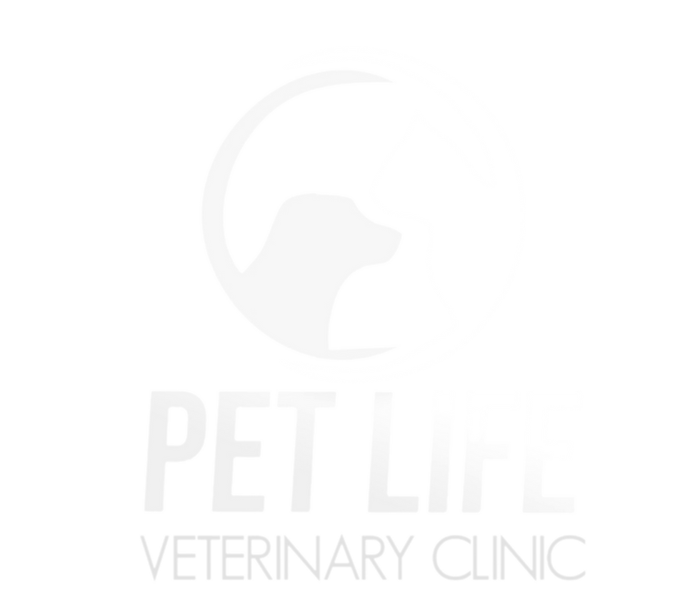 Pet Clinic | Pet Life | West Valley City