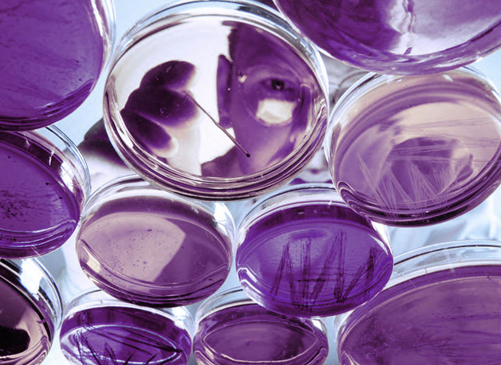 Biomed Laboratory ltd | Histopathology Laboratory in Milton Keynes ...