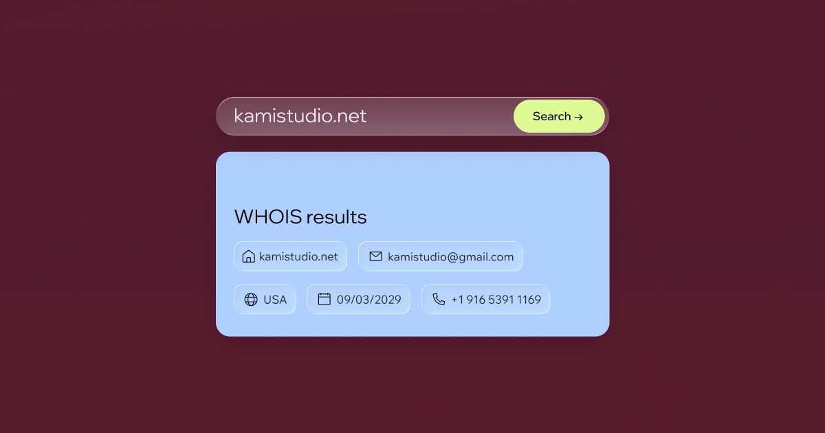 WHOIS Lookup | Find Out Who Owns a Domain Instantly