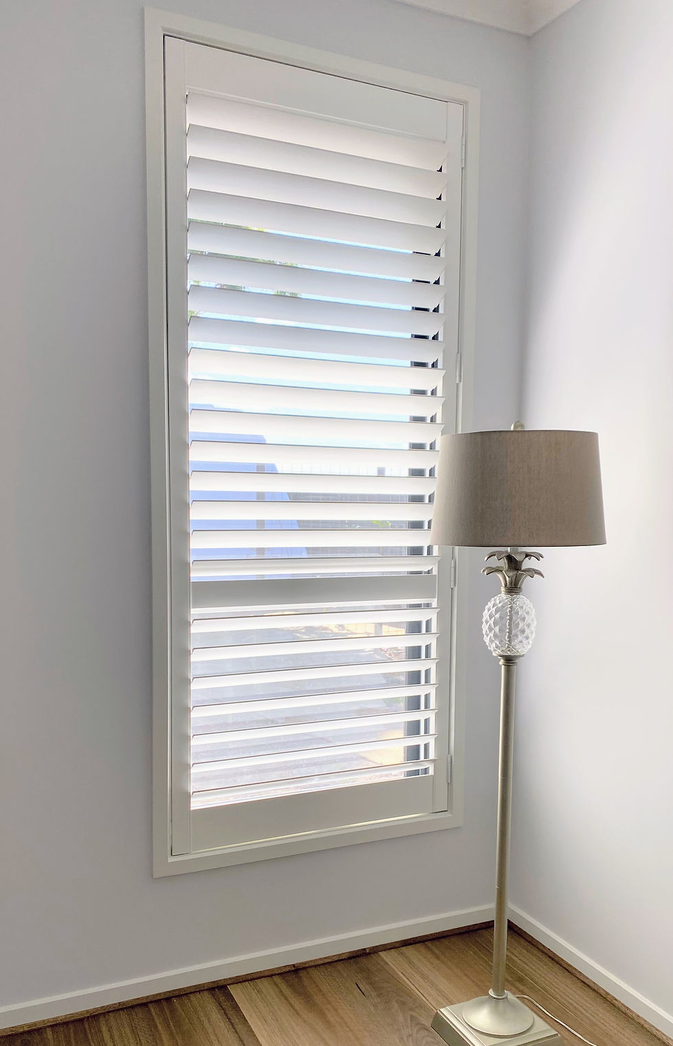 Dress Your Windows, Dress Your Home: The Art of Window Coverings.