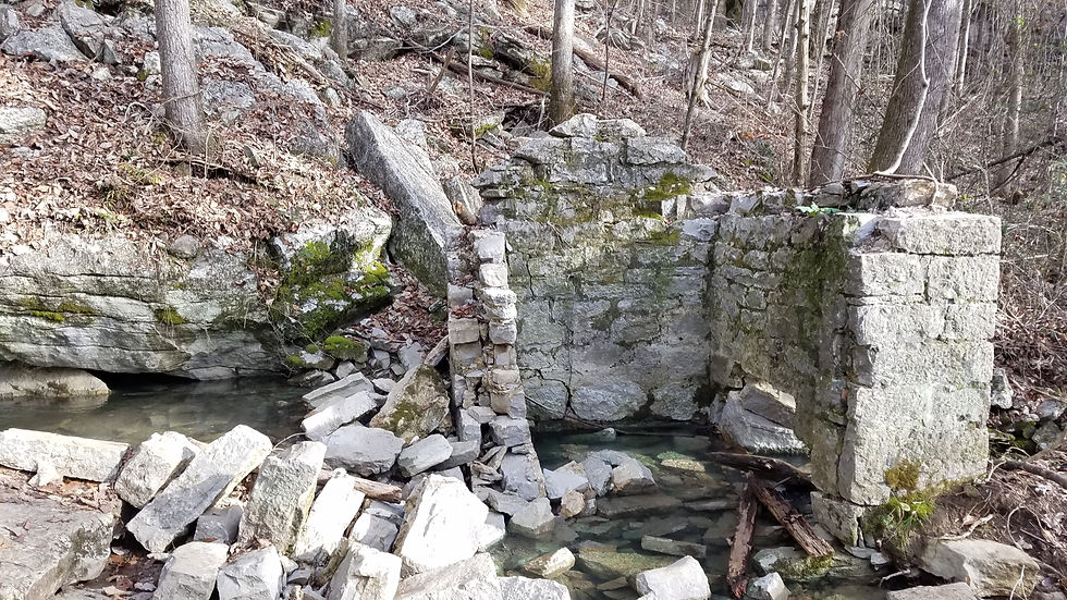 Noteworthy Hike in T.A.G. - Bethel Spring Nature Preserve, Madison ...