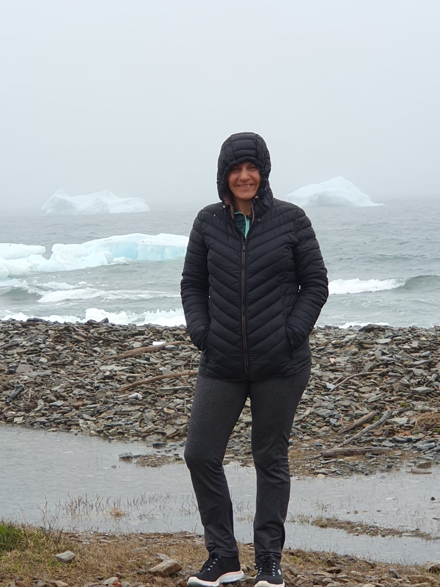 Susan’s Blog: Iceberg Alley and my long-awaited trip to Newfoundland ...