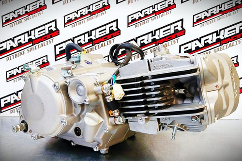 DAYTONA ANIMA 190 4 SPEED ENGINE - FSM | Parkerracing