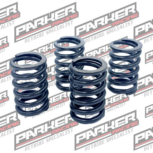 Daytona Clutch Spring Upgrade | Parker Racing