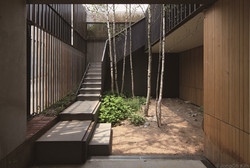 Comb House | isonarch1