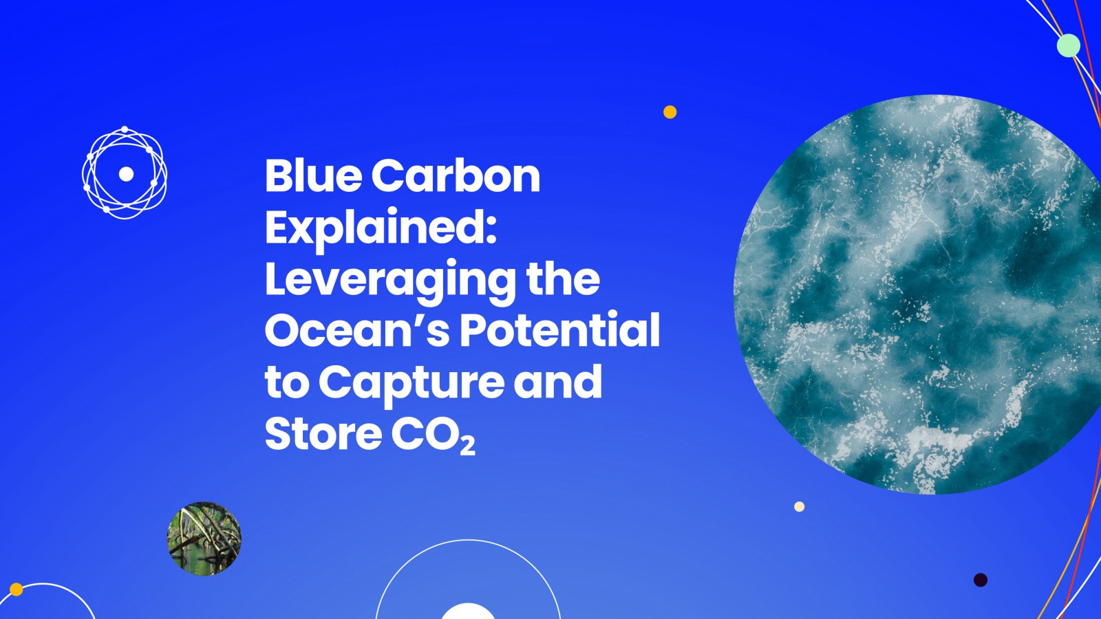 Beneath the Waves: The Essential Role of Blue Carbon Projects in ...