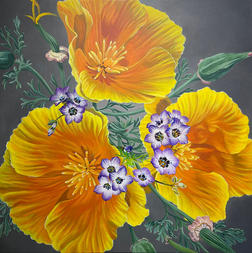 Poppies & Bird's Eye Gilia | Lucy Liew Art