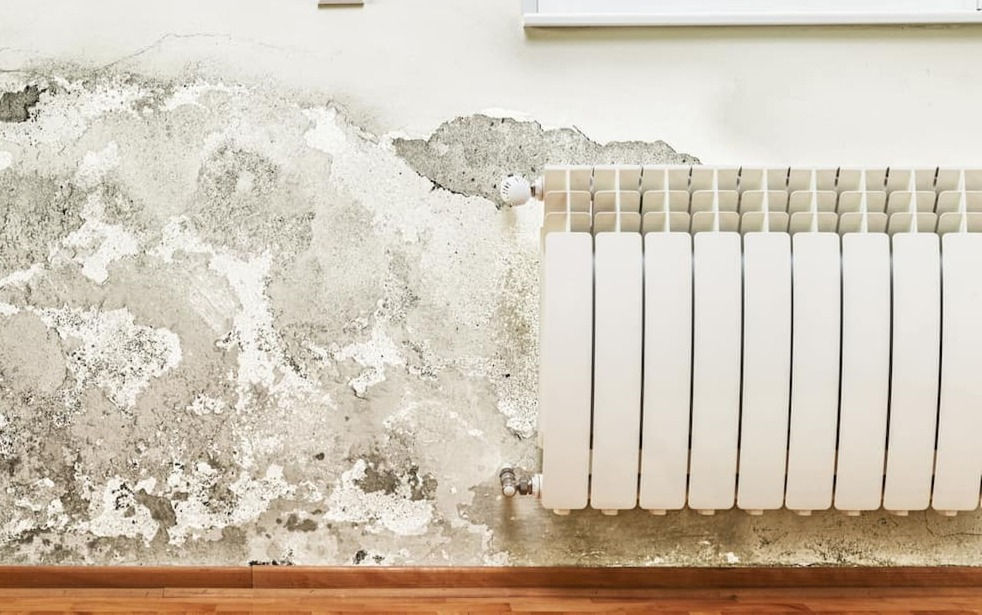 8 SIGNS THAT INDICATE WATER DAMAGE IN YOUR HOME