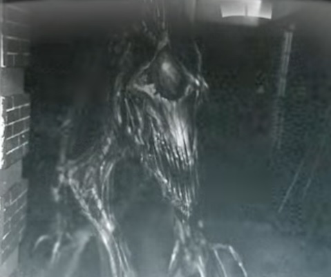 SCP-1762: Where The Dragons Went