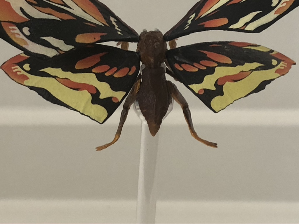 S.H. MonsterArts Mothra & Rodan 2019 Pack