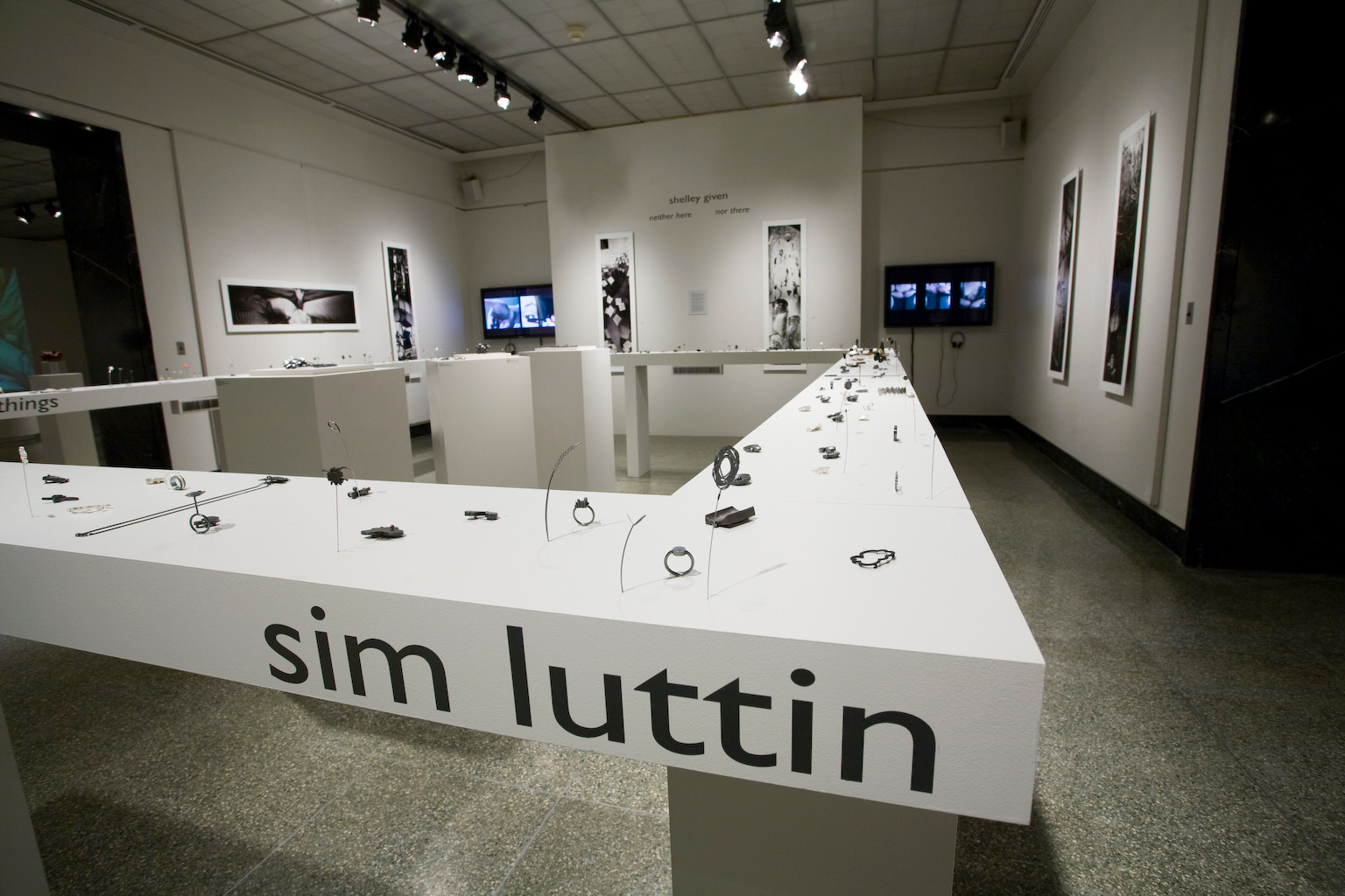 Temporary Nature of Things 2007-08 | Sim Luttin