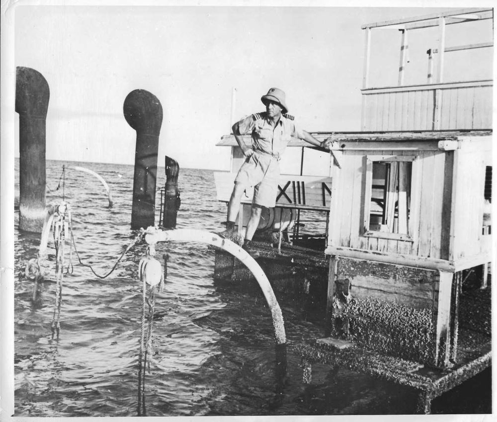 "The Miracle of Massawa*" Revisited: A Conversation with Ted Pollard ...