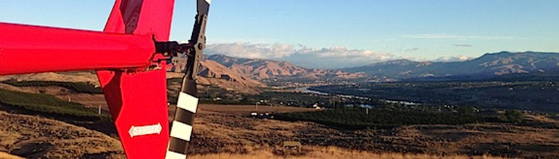 Aerial Feral Animal Control | Aerial Pest Control | Australia