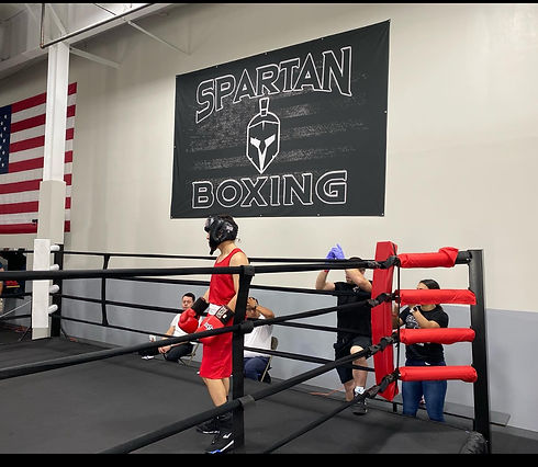 Home | Spartan Boxing & Fitness