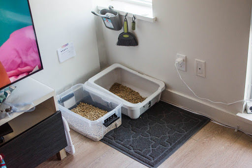 Litter Box Setups