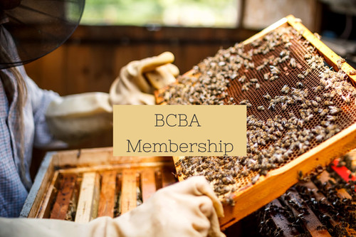 BCBA Annual Membership | BCBA