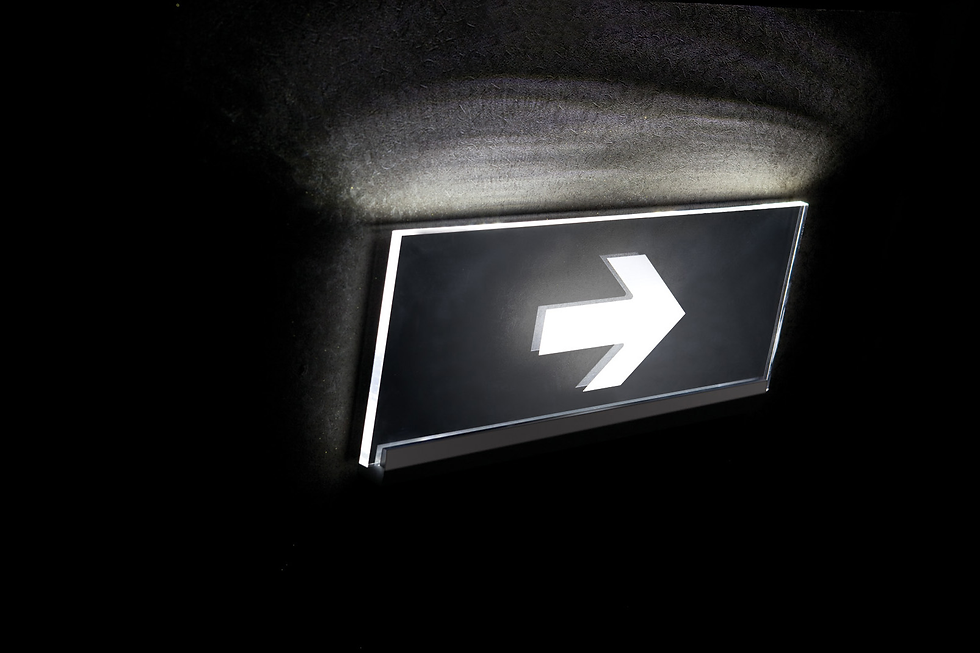 DGS I DISPLAY GRAPHICS SUPPLY