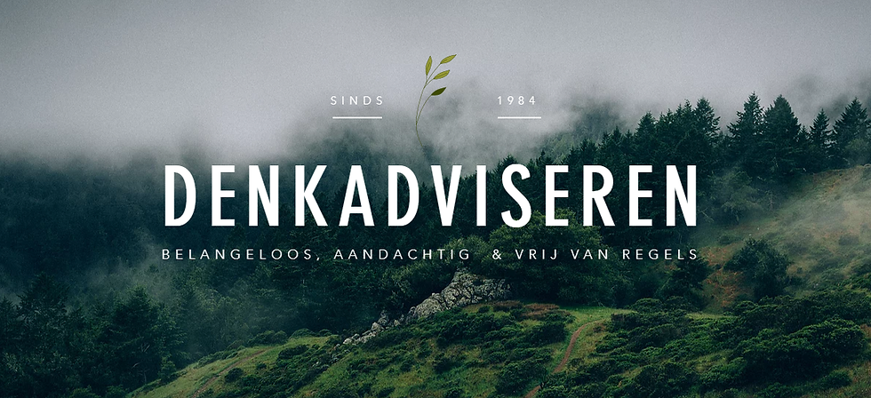 Ontdek Denkadviseren als aanvulling op en alternatief voor ...