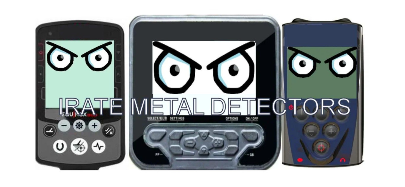 Metal Detecting NYC | Notka Makro Legend Rating | New York City