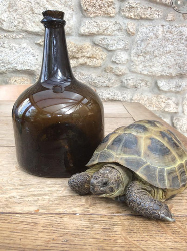 Northern English amber mallet | ABC Magazine