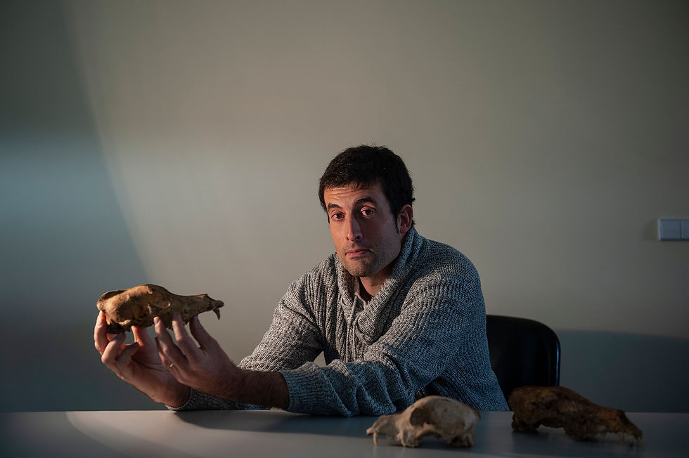 [ENG] Origins and genetic legacy of prehistoric dogs