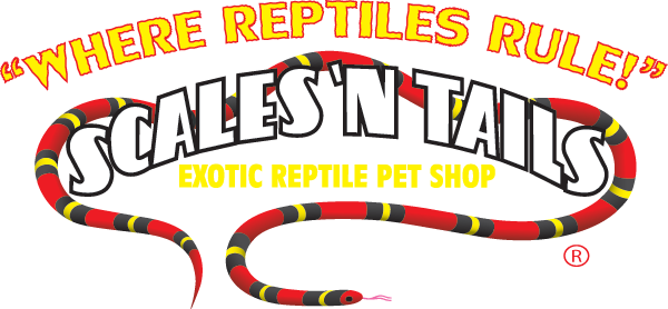 Colorado Springs, CO | Scales 'N Tails