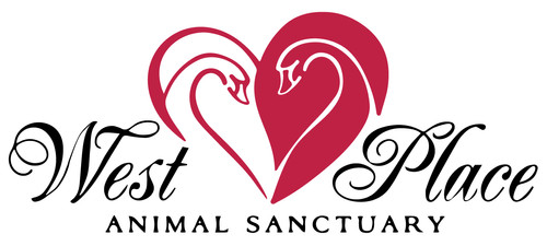 West Place Logo Collection | West Place