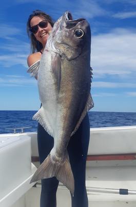 Deep Sea Fishing Adventure - Hapuka, Bass, Bluenose | Top Gear Included