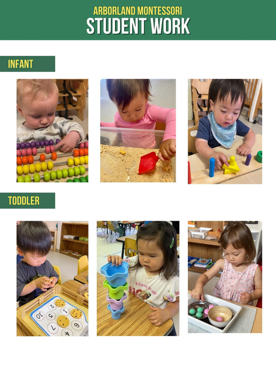 Arborland Montessori Summer School