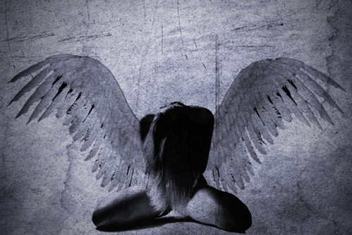 Shankara Skin elixir | crystalis