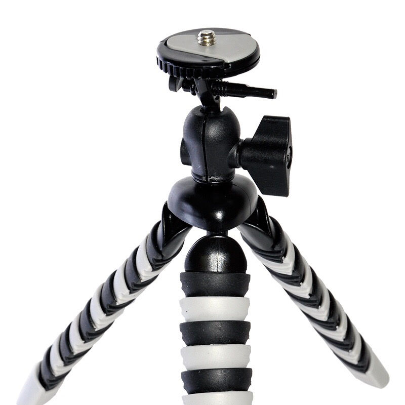 Reaction Training Lights | Brentwood CA | Reflexx RLT