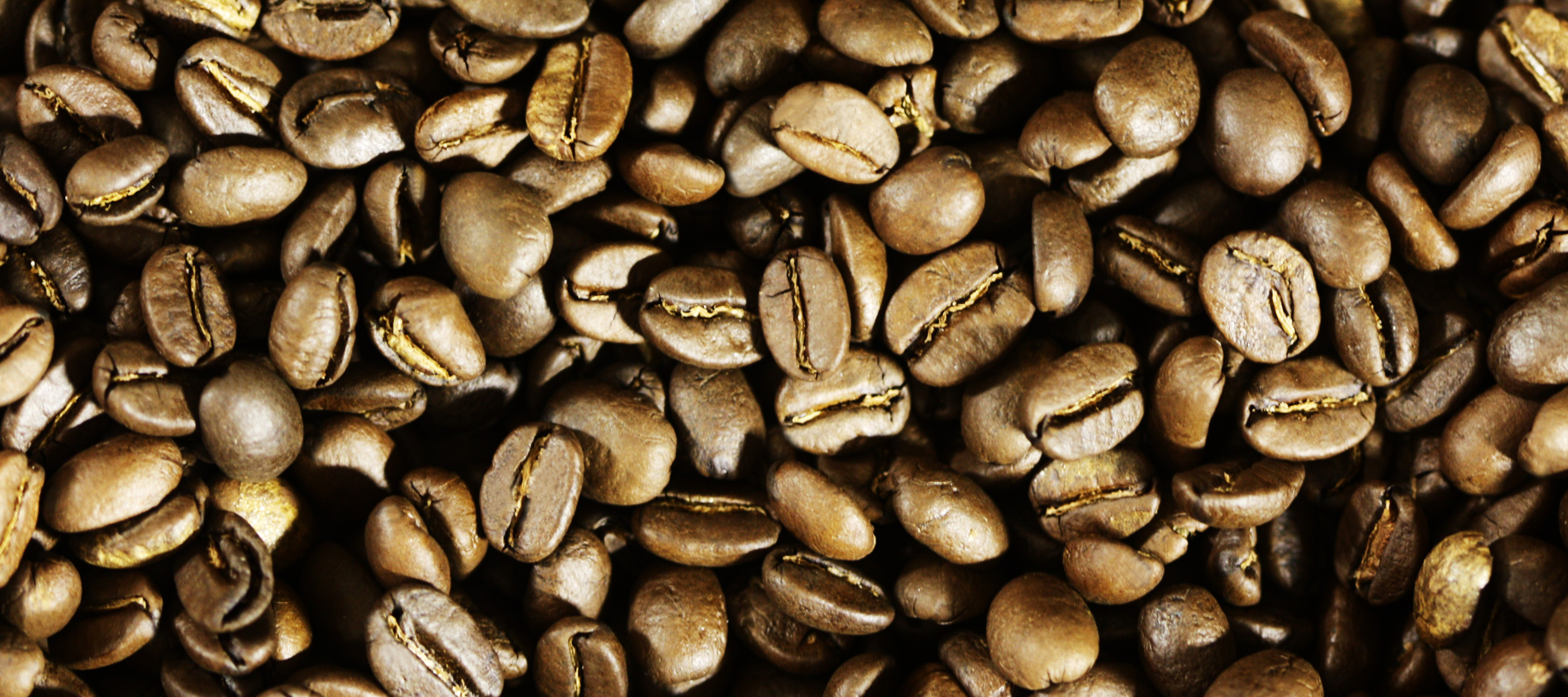 PRODUCTS | GESOL COFFEE GROUP