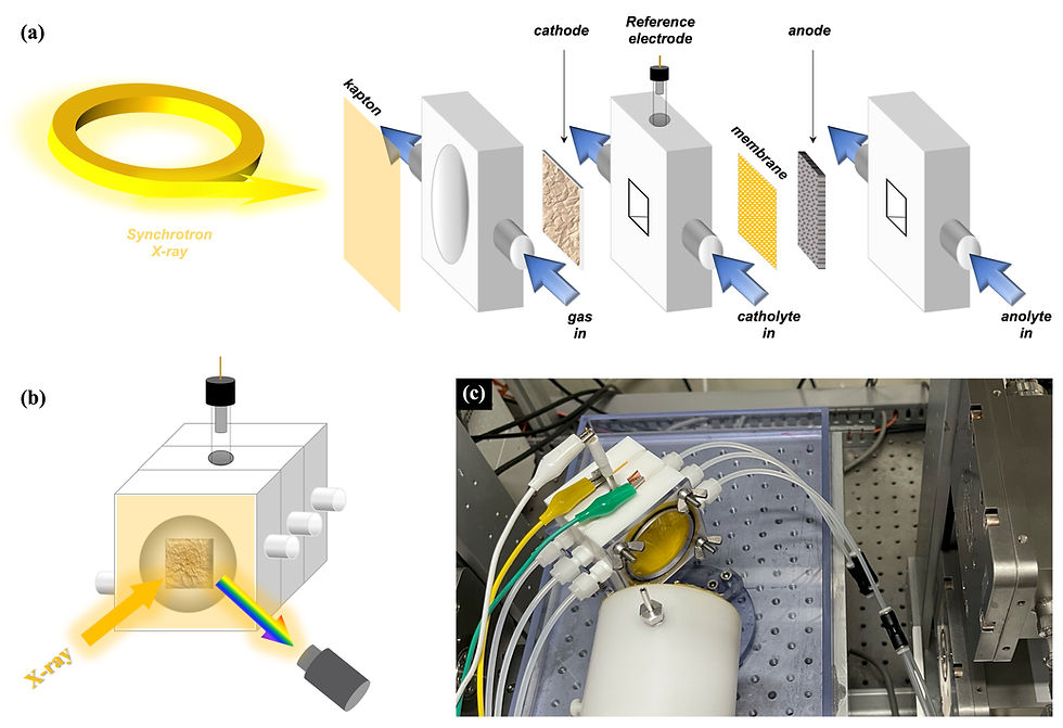 Design of catalytic reactors