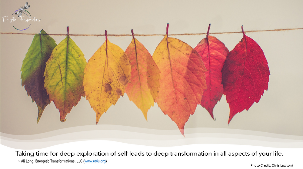 Deep Exploration, Deep Transformation...