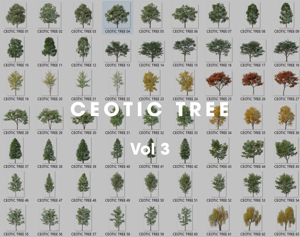CEOTIC STUDIO TREE VOL 3