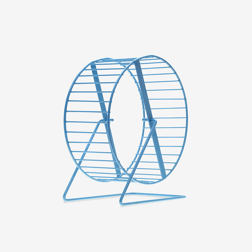 Stepping Off the Hamster Wheel