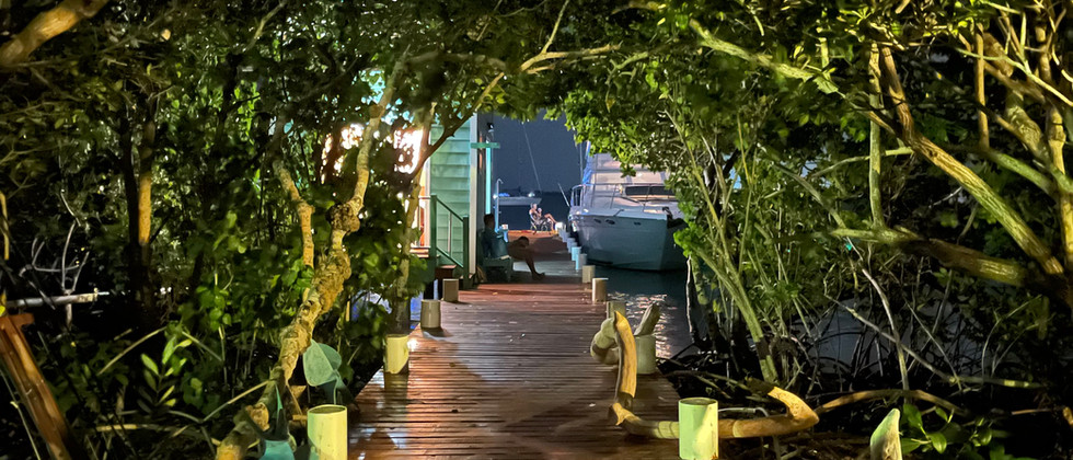marina belize placencia