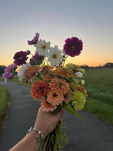 All Products | Russell Flower Farm