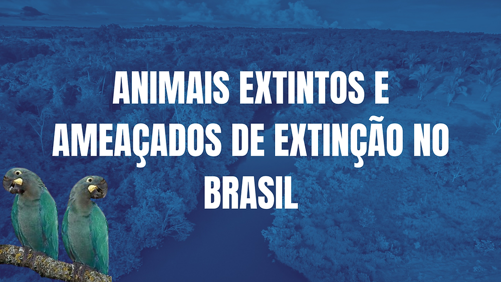 10 Animais Extintos no Brasil - E Outros Que Estão Ameaçados de Extinção