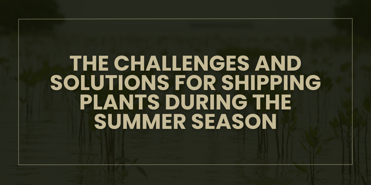 The Challenges and Solutions for Shipping Plants During the Summer Season