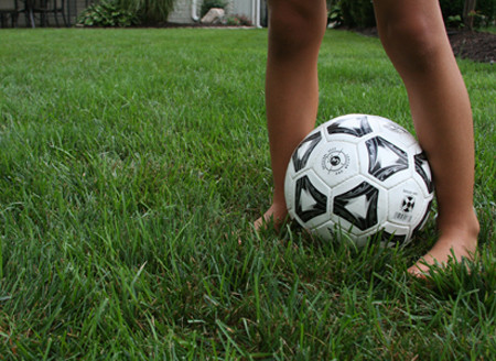 Playmaker Mix | Gordon Farms Seed Co