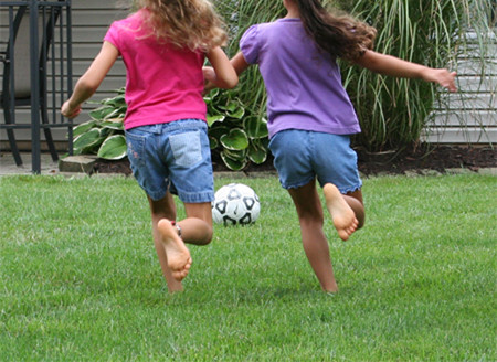 Tuff Turf Blend | Gordon Farms Seed Co