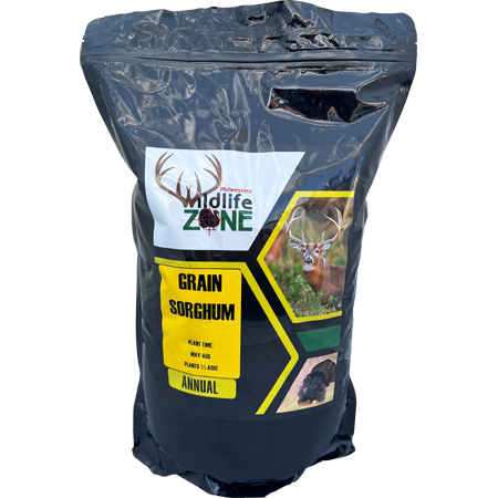 Grain Sorghum 12# | Gordon Farms Seed Co