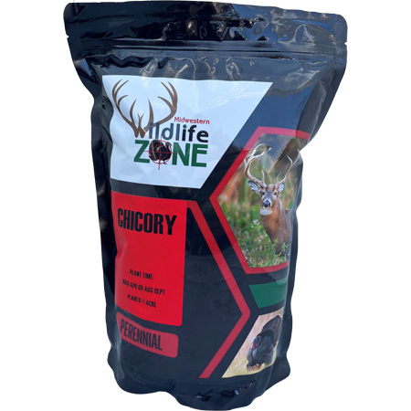 Chicory 4# Bag | Gordon Farms Seed Co